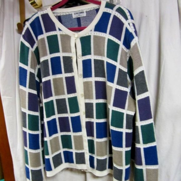 Alfred Dunner | Sweaters | Vtg Alfred Dunner Sweater Bge Wblocks Of ...
